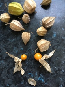Cape Gooseberries | Robinne Weiss